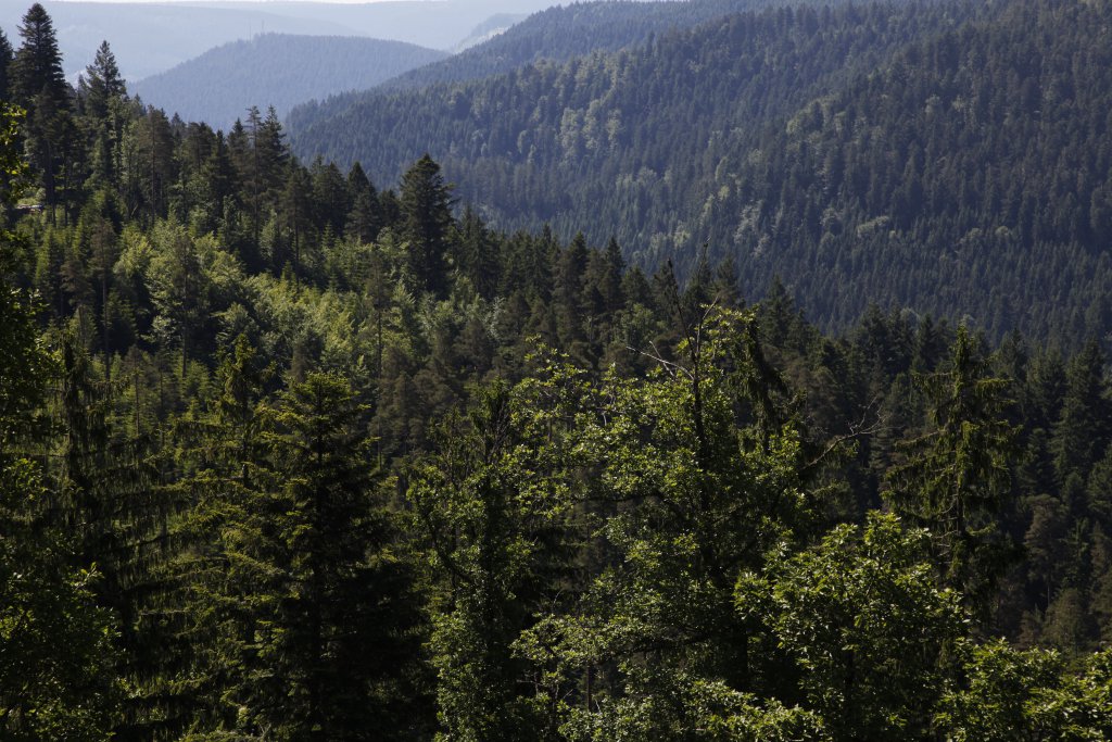 Nationalpark Schwarzwald - Hotel Waldlust Tonbach